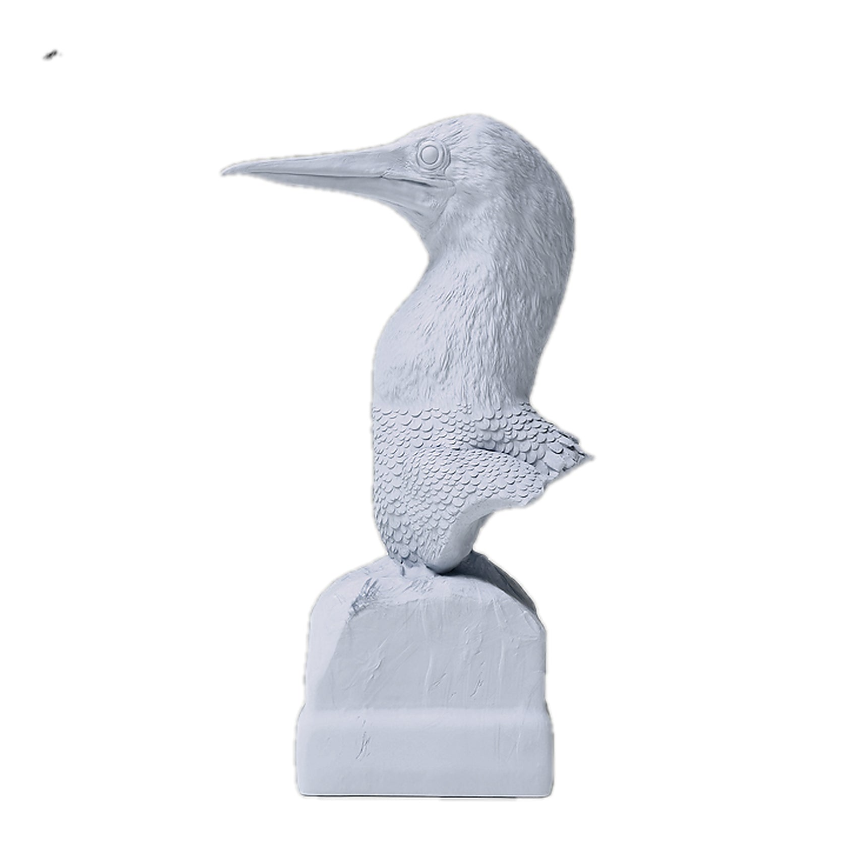 Blue Footed Booby Bust | Animal Den Miniat | The Scale Grail