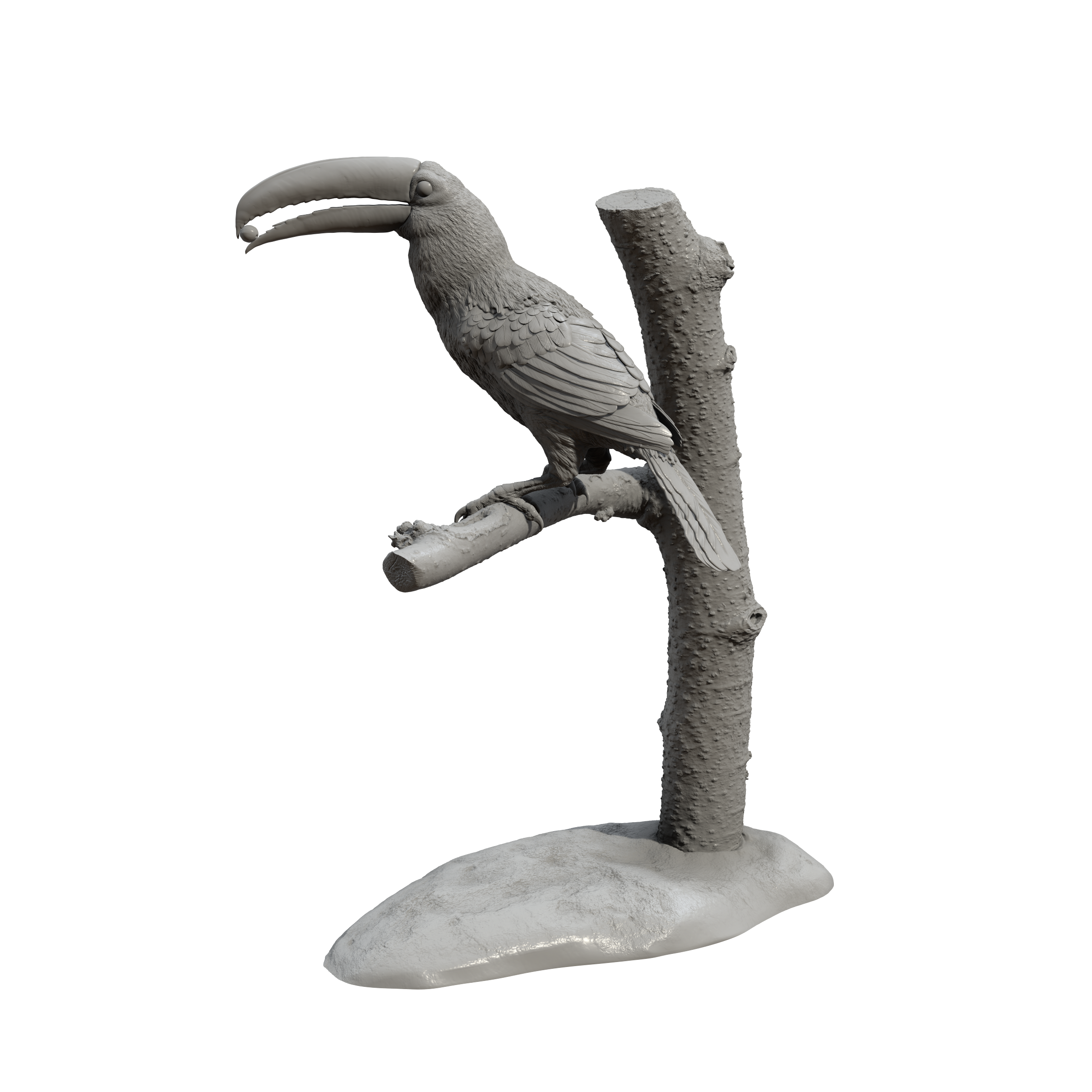 Toco Toucan with Stand Miniature Replica by Animal Den Miniatures - 10 ...