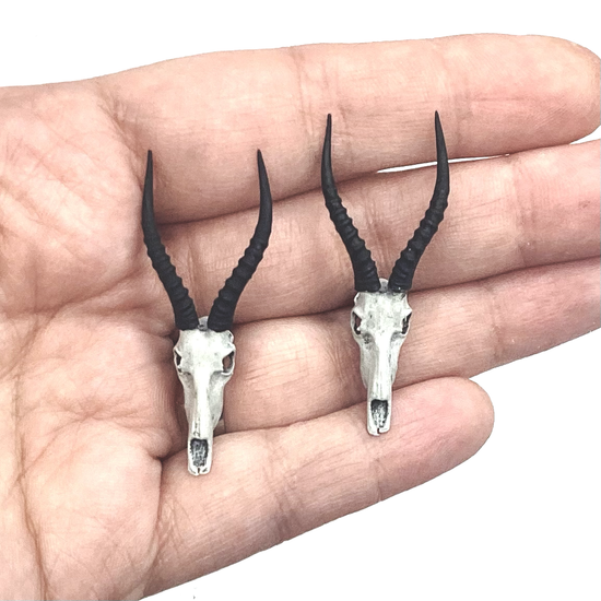 Blesbuck Skull Replica (Field Bones #47: Africa) 1:12 scale (2 skulls ...
