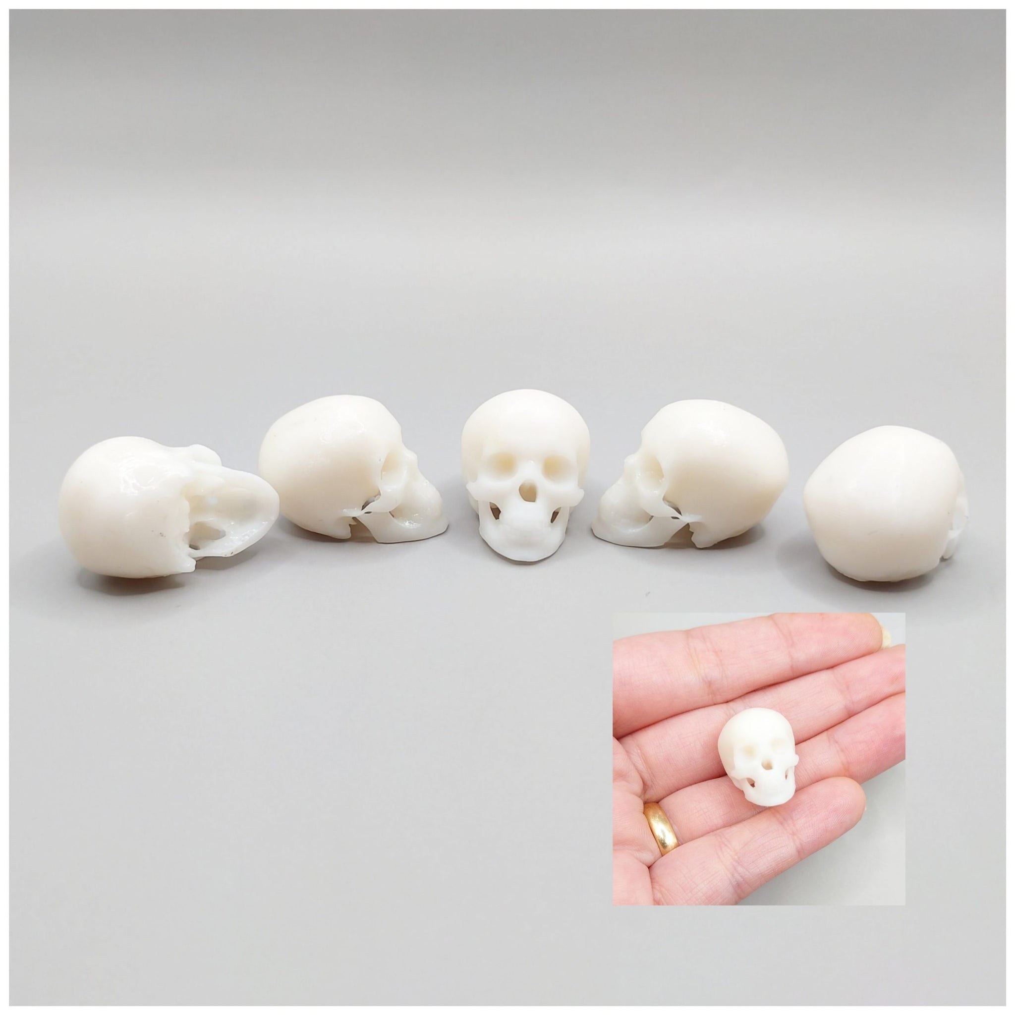 Human Skull Miniature, 1:12 Scale Replica | The Scale Grail